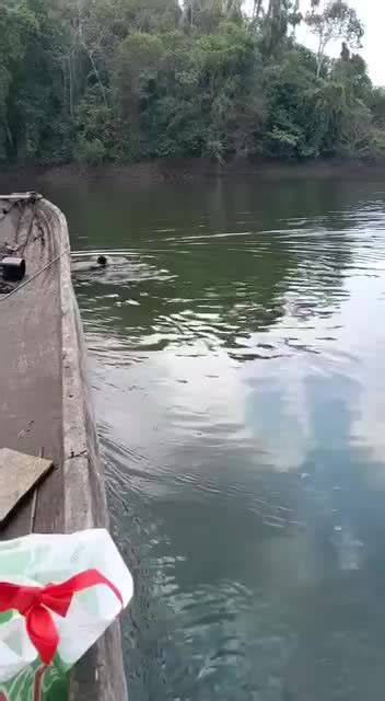 Local Guide Album On Imgur