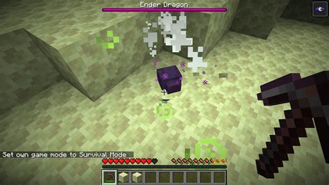 Infested Netherrack And End Stone Gallery