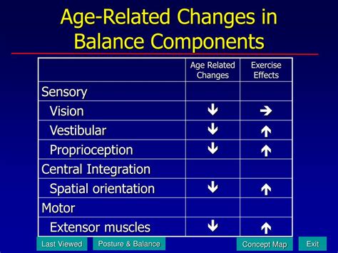 Ppt Postural Control And Balance Powerpoint Presentation Free