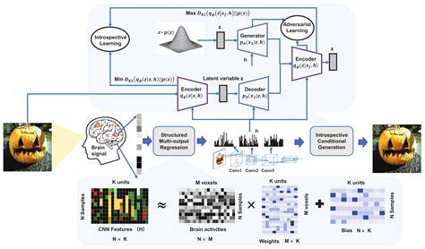 Fmri Brain Decoding And Its Applications In Braincomputer Interface A