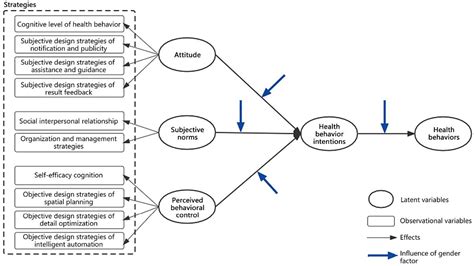 Frontiers A Comparative Study Of Gender Differences In Healthy Office Building Strategies