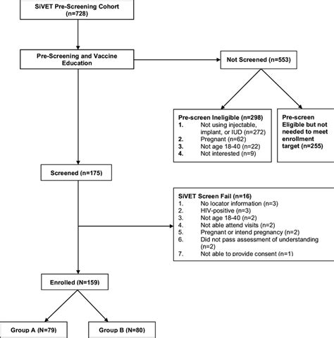 Simulated Vaccine Efficacy Trial Participant Flowchart N 159 Download Scientific Diagram