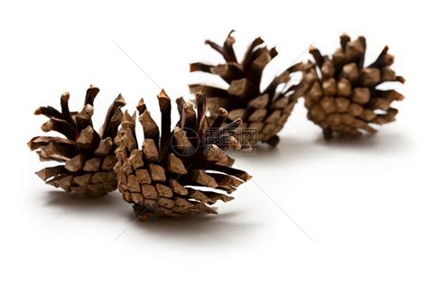 白色背景上的视锥细胞高清图片下载 正版图片502608073 摄图网