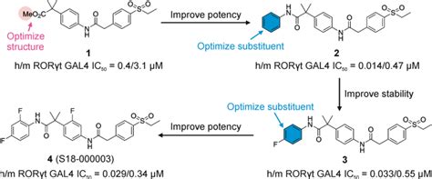 Small Molecule Inhibitors Of Rorγt For Th17 Regulation In Inflammatory And Autoimmune Diseases Pmc