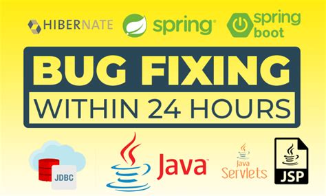 Fix Bugs In Your Java Desktop Or Web Application By Ahsanalimughal Fiverr