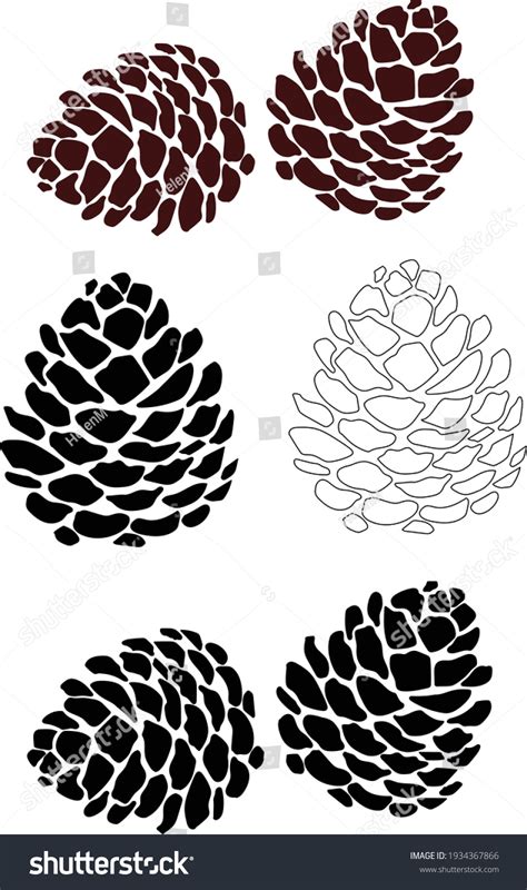 Pine Cone Vector