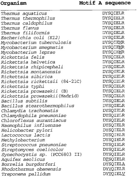 Motif A Sequence Alignment Sequence Alignment Of 34 Prokaryotic Dna Download Scientific
