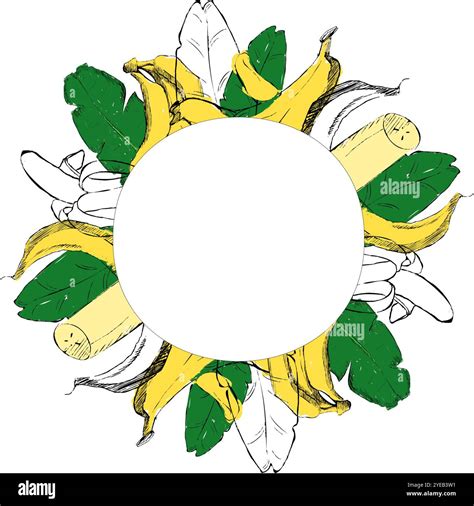 Banana Graphic Round Circle Frame Vector Illustration Banana With Tropical Leaves Hand Drawn