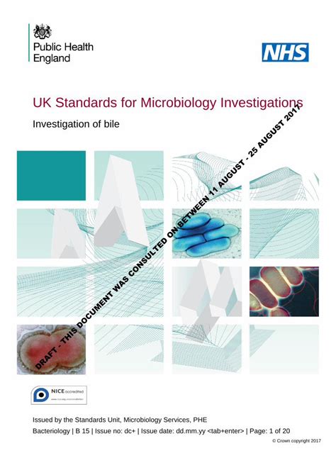 Pdf B 15 Investigation Of Bile Gov Uk Recurrent Pyogenic