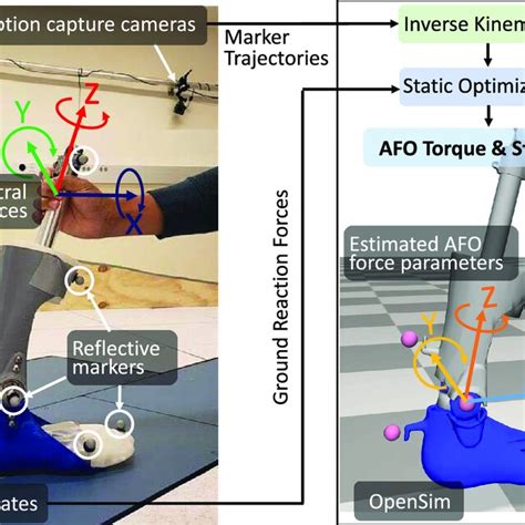 An Overview Of The Aads Test Starting By Applying Users Arbitral Six Download Scientific