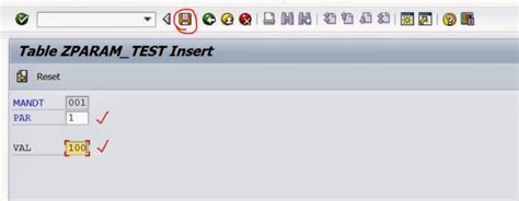 Conversion Routines Sapcodes