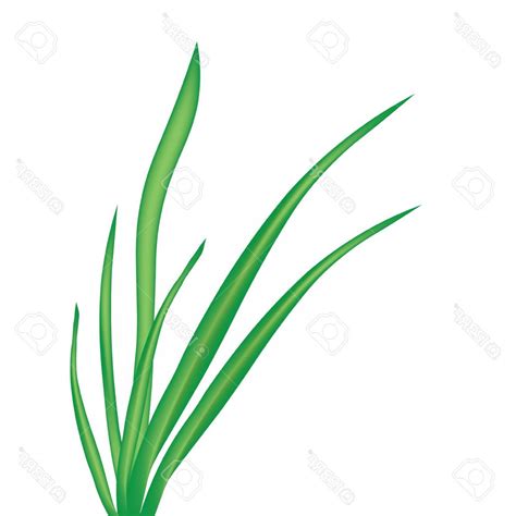 Grass Blades Vector At Collection Of Grass Blades