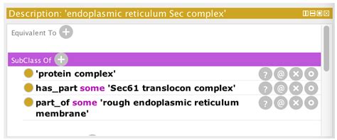 Exercise Basic Restictions — Ontology101tutorial 10 Documentation