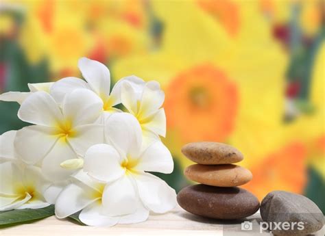 Sticker Zen Spa Concept Background Zen Massage Stones With Frangipani