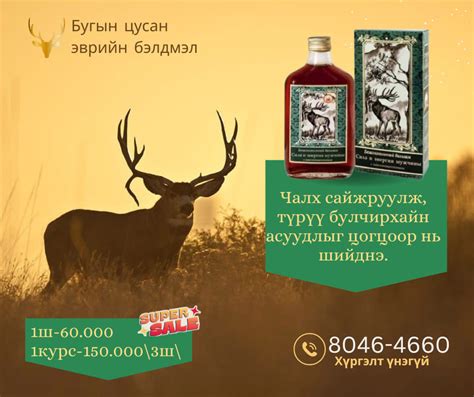 Бугын бэлдмэл Бугын цусан эвэр 👉 Цусыг төлжүүлнэ бие сульдах мэдрэлийн ядаргаанд сайнаар