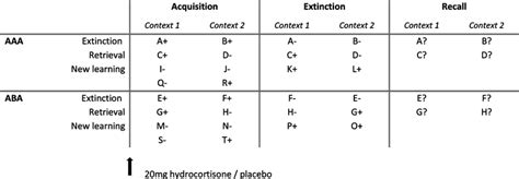 Schematic Overview Of The Predictive Learning Task Participants Download Scientific Diagram