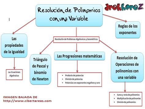Resolución De Polinomios Con Una Variable Mapa Conceptual Cibertareas