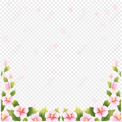 손으로 그린 스타일 히비스커스 꽃 일러스트 요소 무궁화화환우아한 Png 일러스트 무료 다운로드 Lovepik