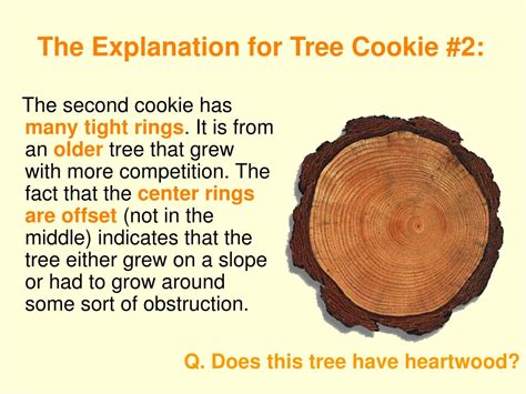 Ppt Tree Cookies Powerpoint Presentation Free Download Id206315