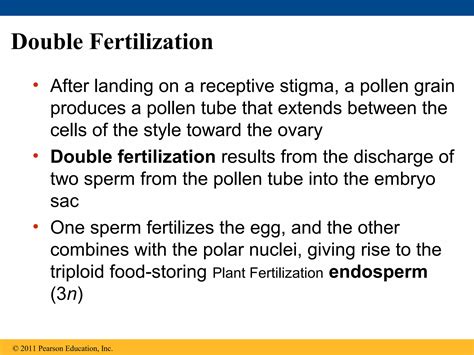 Ch Angiosperm Reproduction And Biotechnology Ppt