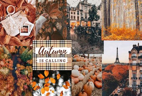 🔥 40 Aesthetic Fall Laptop Wallpapers Wallpapersafari