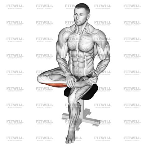 Seated Toe Extensor Stretch Exercise Guide Techniques Benefits How