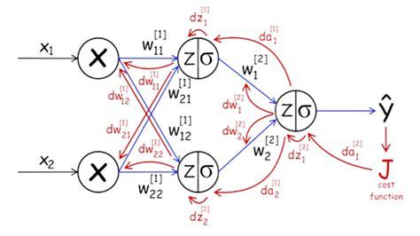 dissecting backpropagation in neural networks