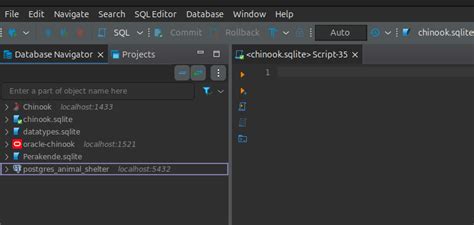 14 Sql Clients Gui Introduction To Databases