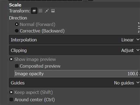 Shift S To Resize Not Working