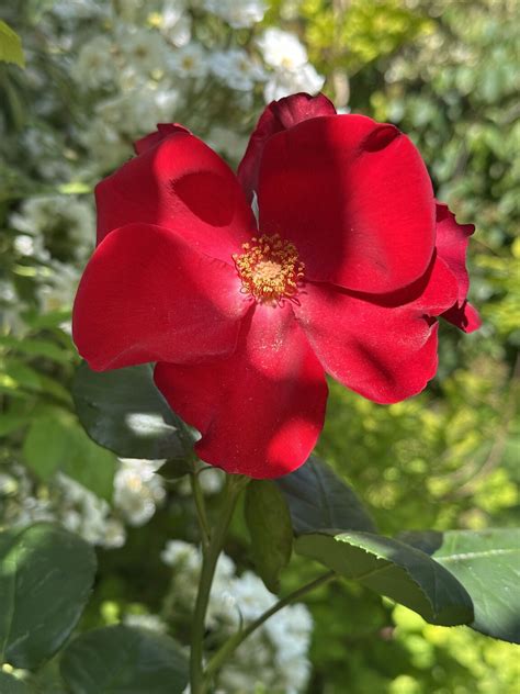 Ai Llms Genai Agenticai Corporatedigitalresponsibility Multiagentteams