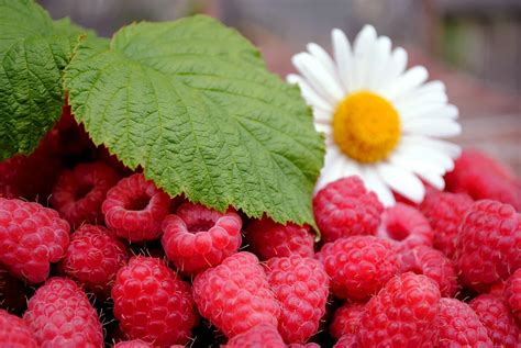 Красиві шпалери на робочий стіл зображення та фото 36 шт