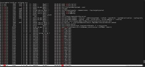 redhat 8 8 安装oracle 19c rhel8 8 csdn博客