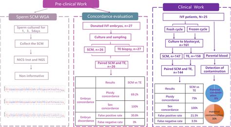 Illustration Of The Systematic Validation Of The Ivfnics Assay Two Download Scientific