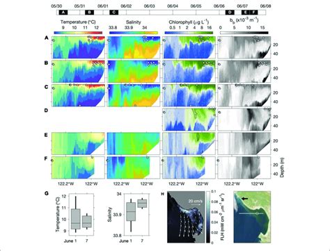 Synoptic In Situ And Remotely Sensed Conditions During The Process