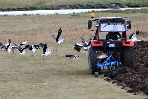 აგრონომი ყარყატები Yourshot Photo Contest