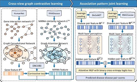 Explore Dismvc A Multi View Graph Collaborative Learning Framework For