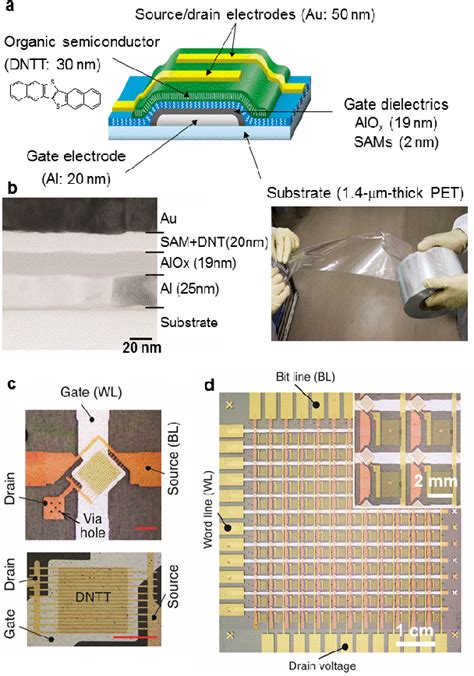 Figure 1 From Ultraflexible Organic Transistor Active Matrix Using Self Assembled Monolayer Gate