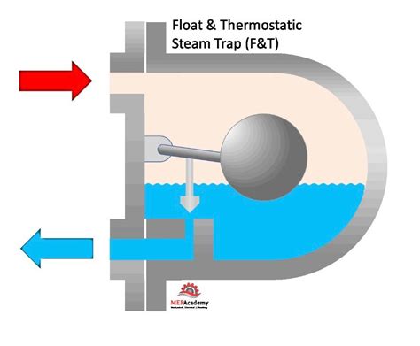 Mohamed Tarek On Linkedin Steamtraps