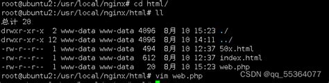 ubuntu安装nginx以及php的部署 ubuntu nginx php CSDN博客