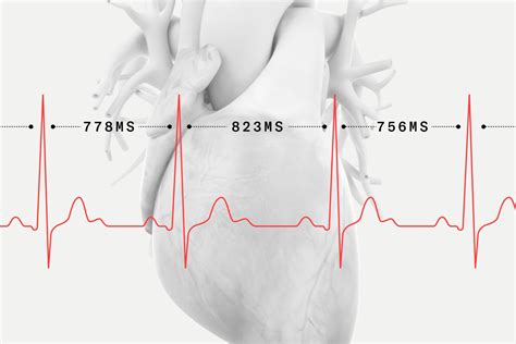 Heart Rate Variability And Longevity Your Guide To Hrv Timeline