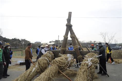 기지시줄다리기 큰 줄 제작현장에 가다