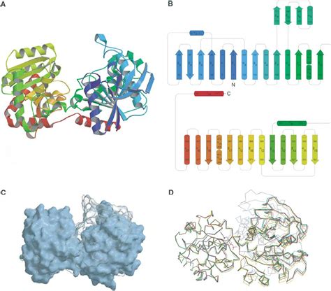 Gs Structure A Cartoon Showing The General Fold And Secondary