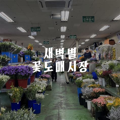 새벽별 꽃 도매시장