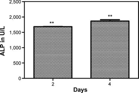 Development Of A New Carbon Nanotube Alginate Hydroxyapatite Tricomponent Composite Scaffold For