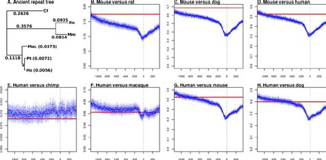 Relative Selective Constraint Across Mammalian Promoters A Nucleotide