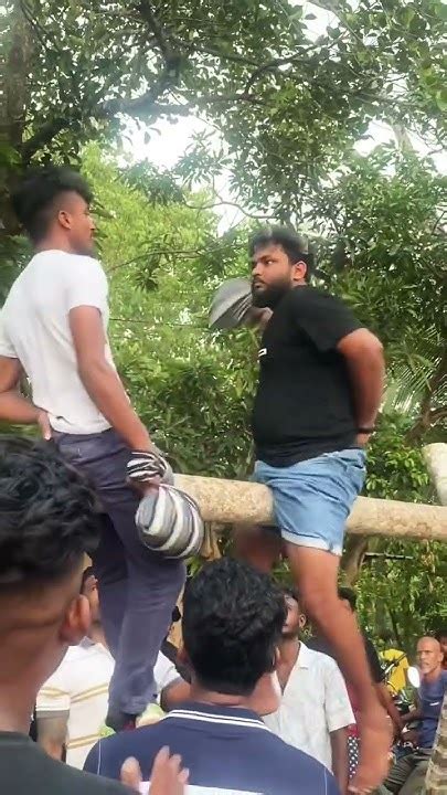 අවුරුදු ක්‍රීඩා Youtube