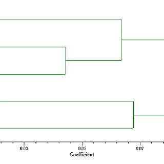 Dendrogram Of Male Sample Population By Site Download Scientific Diagram