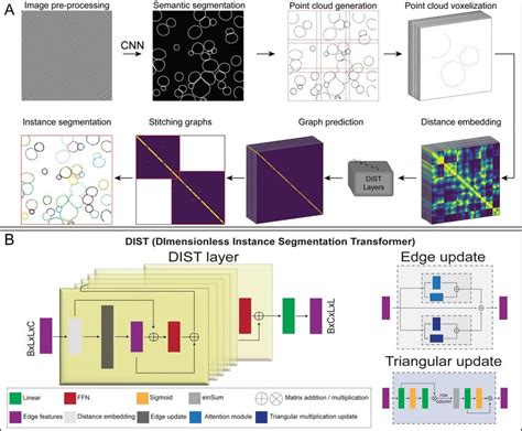 A High Level Illustration Of The Tardis Workflow Micrographs Are