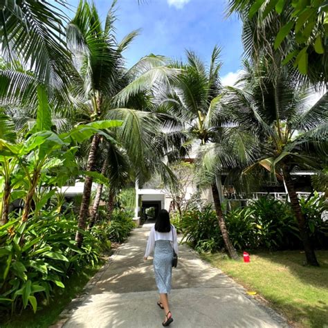 나트랑 가성비 최고 알리부 리조트 룸 컨디션발코니 더블 가든뷰조식룸서비스 메뉴 네이버 블로그