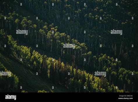 Preventing Soil Erosion Hi Res Stock Photography And Images Alamy